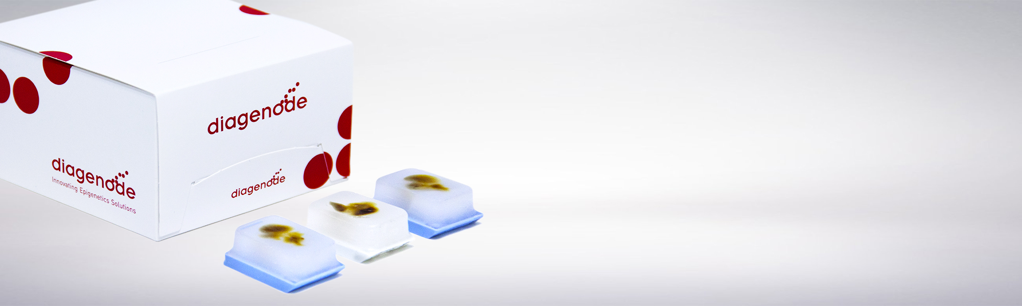 Epigenetics, DNA Methylation, Chromatin Analysis, Bioruptor Sonication ...