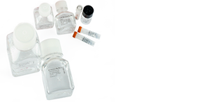 Epigenetics, DNA Methylation, Chromatin Analysis, Bioruptor Sonication ...