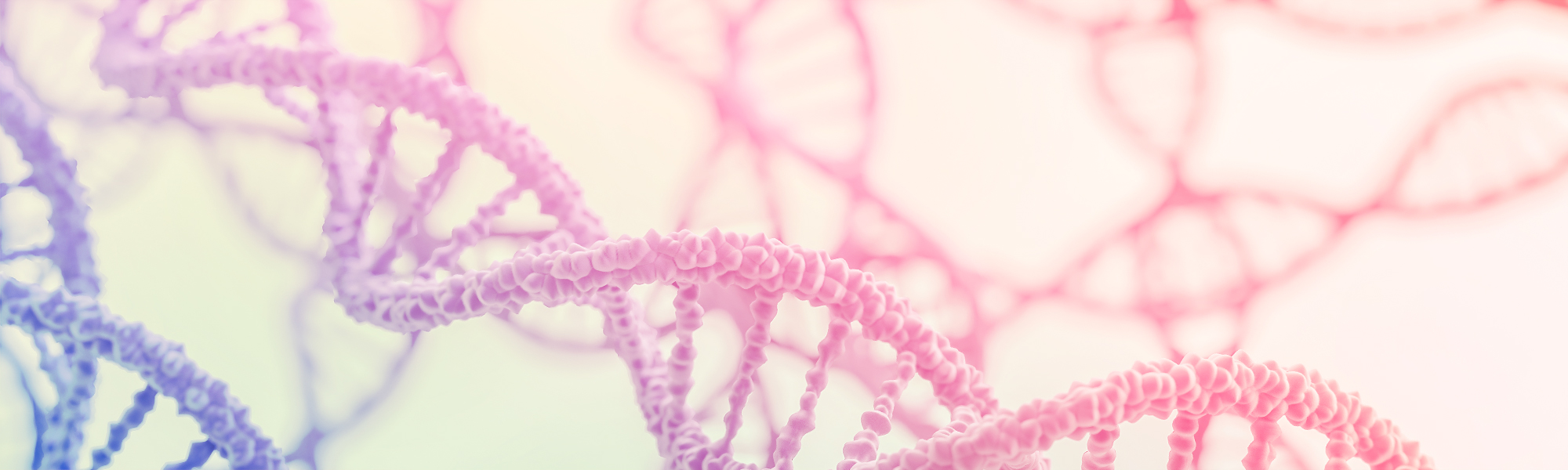 Epigenetics, DNA Methylation, Chromatin Analysis, Bioruptor Sonication, IP-Star® Automation ...