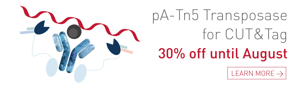pA-Tn5 Transposase (loaded) developed for the CUT&Tag assay | Diagenode.com