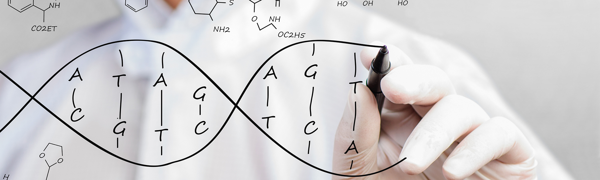 Epigenetics, DNA Methylation, Chromatin Analysis, Bioruptor Sonication, IP-Star® Automation ...