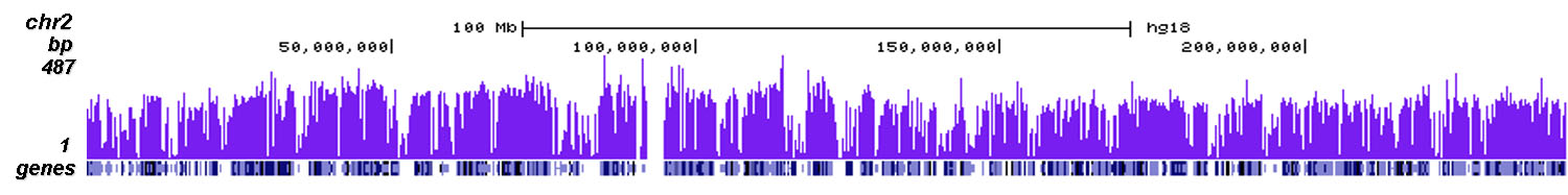 CTCF Antibody - ChIP-seq Grade (C15410210) | Diagenode