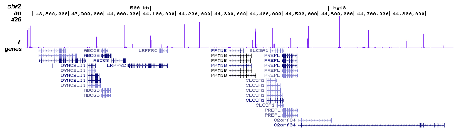 CTCF Antibody - ChIP-seq Grade (C15410210) | Diagenode